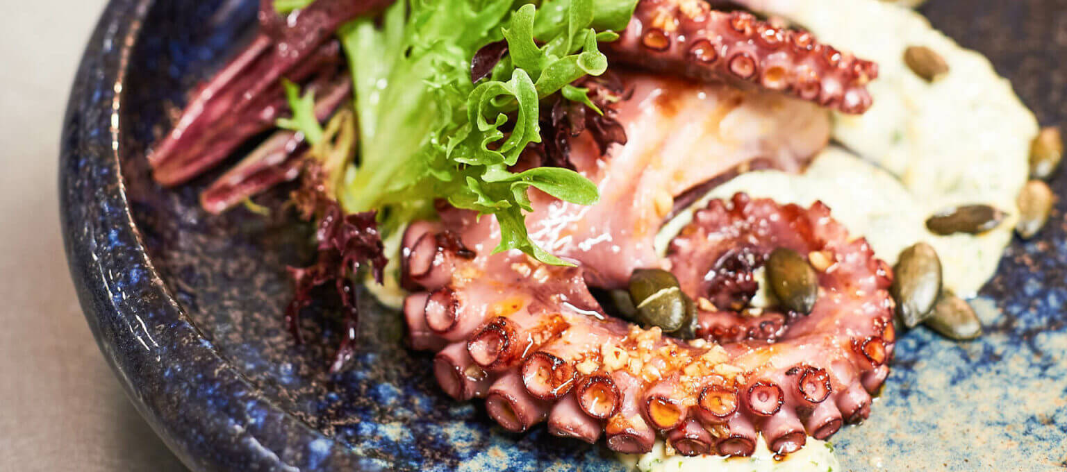 Grilled Octopus Marinated in Ginger - Muscle and Health
