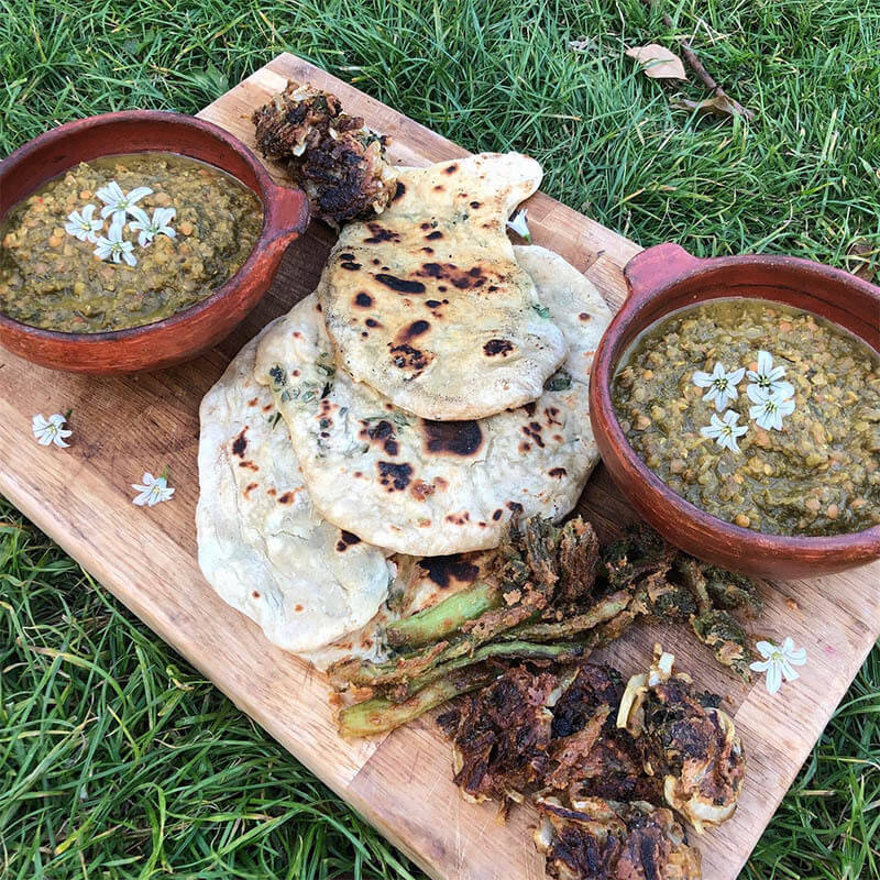 Foraging Recipes: Get Foraging and Try These Delicious Recipes