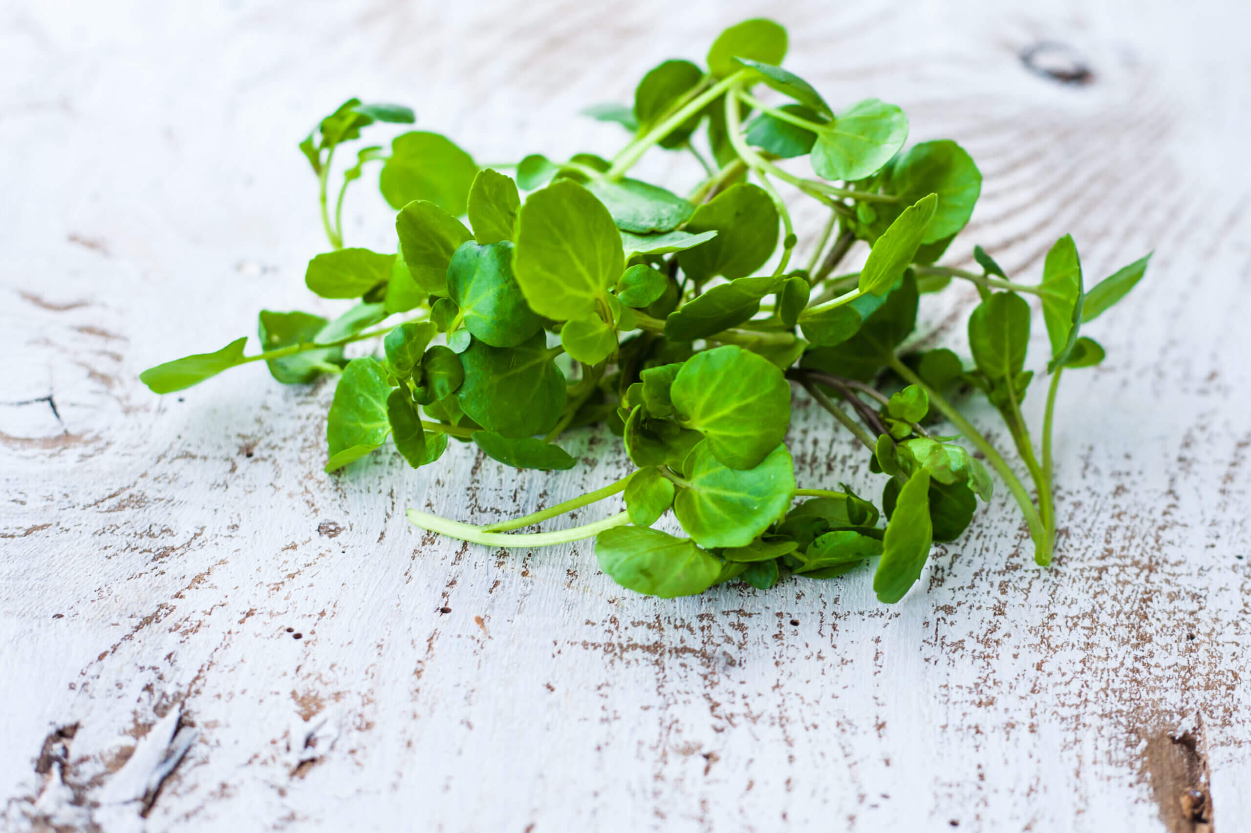 Why Watercress Could Help Boost Your Amino Acid Profile!