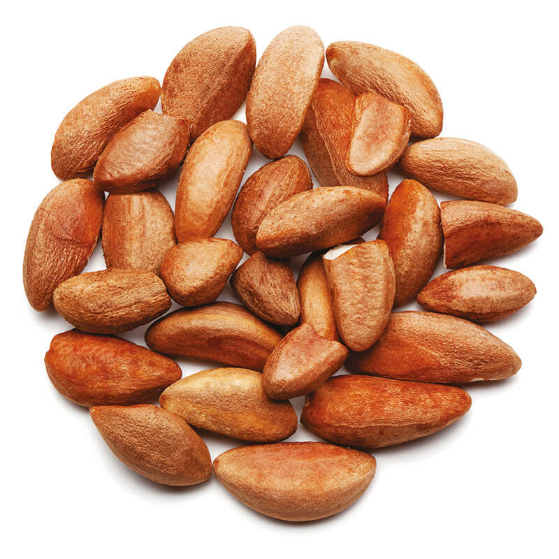 The Best Nuts For Health And Nutrition